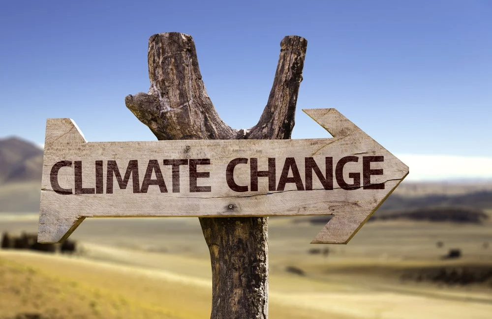 Preparing for CA Climate Laws | EcoOnline US