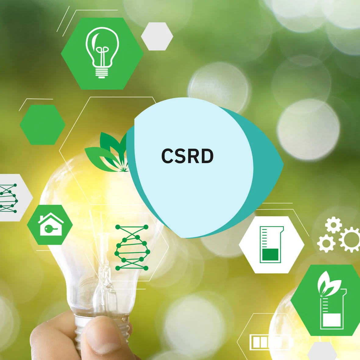 Här har du svaren på de 10 vanligaste frågorna om CSRD | EcoOnline